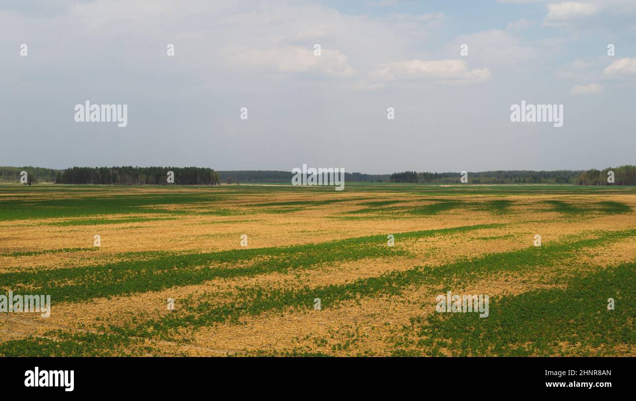 Wide field and the sky nature landscape background. horizon line Stock ...