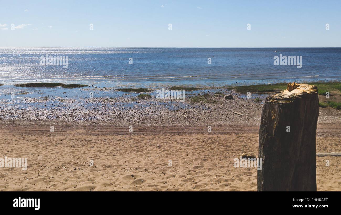 Shore of the sea. seascape with horizon line. silt coast. water surface ...