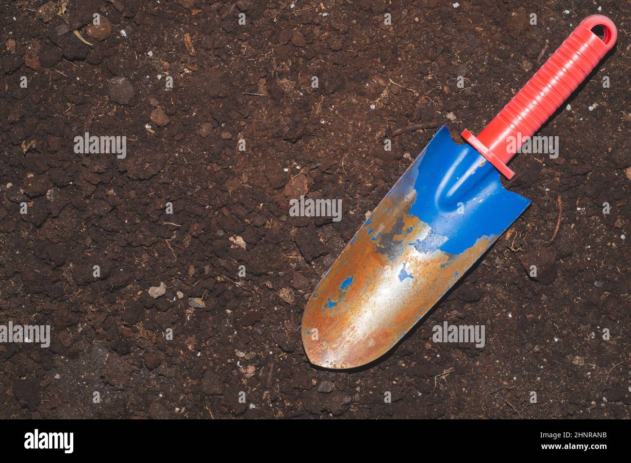 Garden shovel. old soil from flower pot. house plant transplanting ...