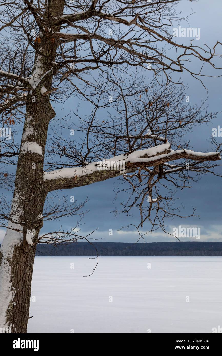 Au train hi-res stock photography and images - Alamy