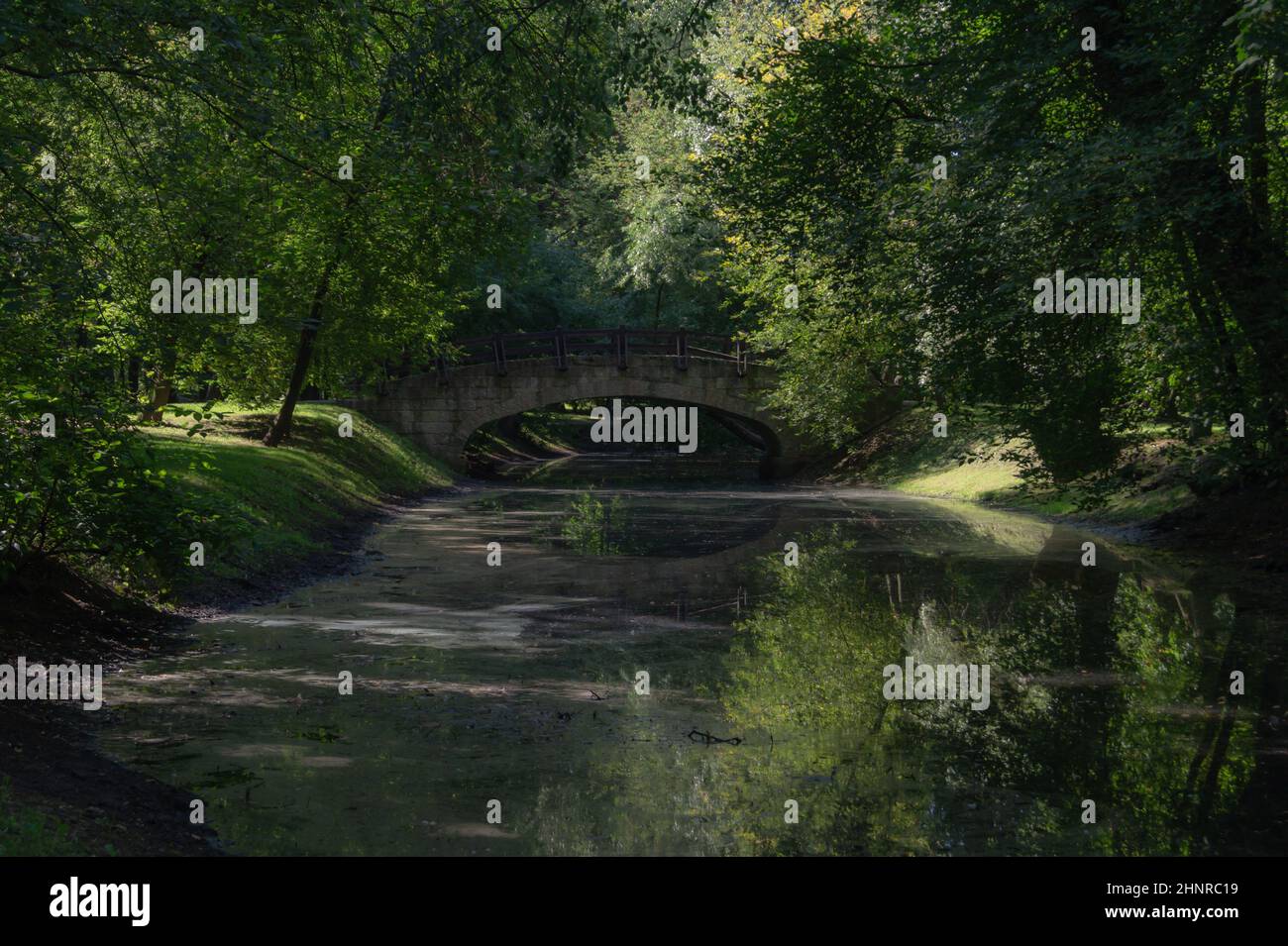 Bridge in the forest. nature landscape with small river Stock Photo - Alamy