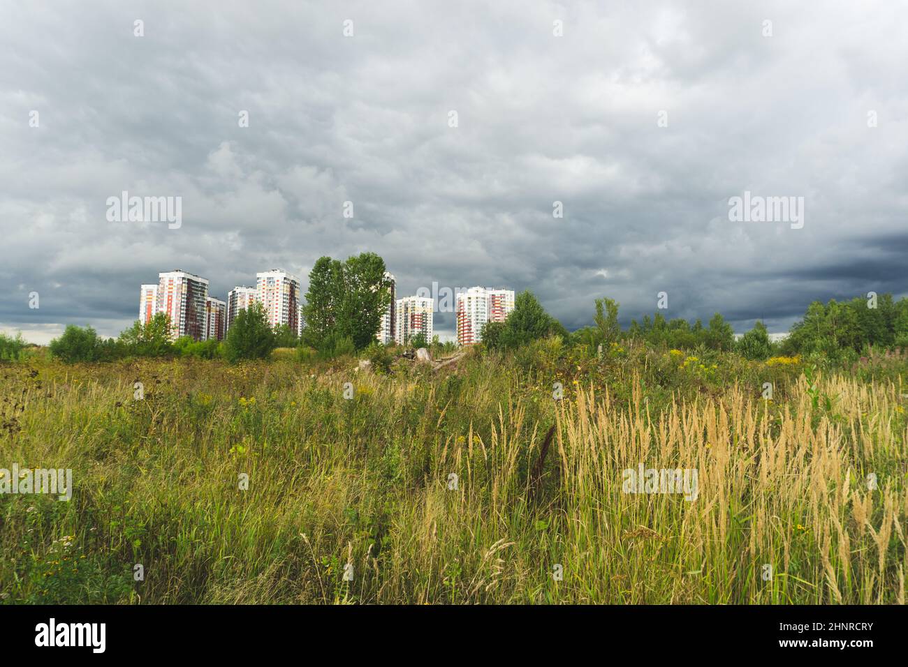 Horizon line with buildings. nature landscape with city into a distance ...