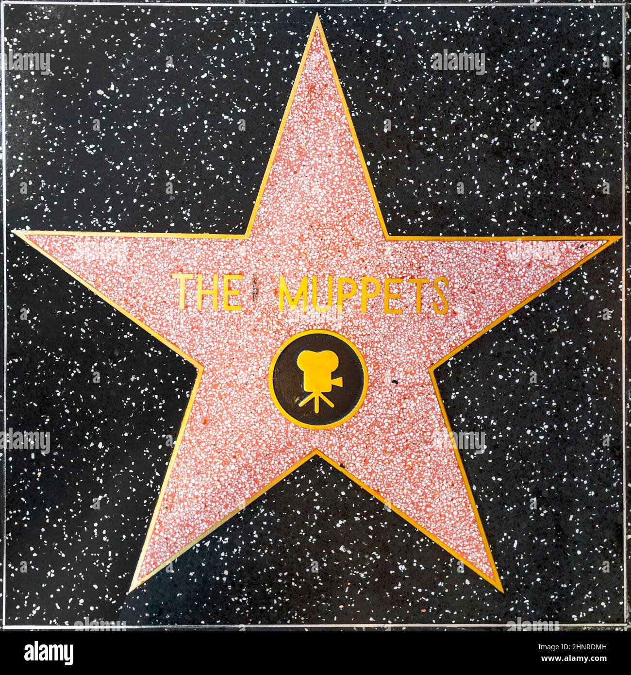 The Muppets star on Hollywood Walk of Fame Stock Photo - Alamy
