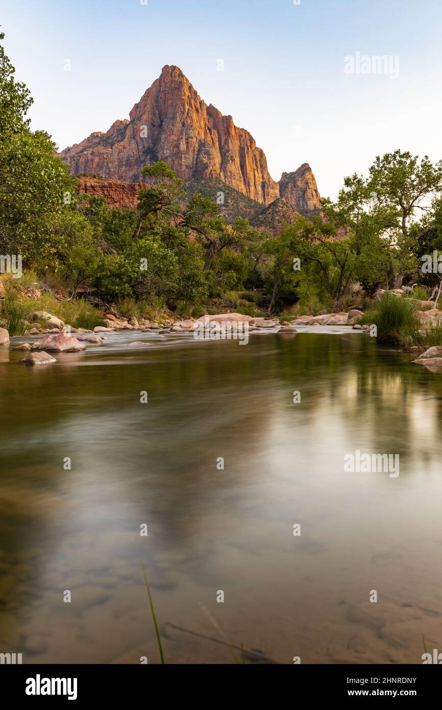 The Watchman standing tall at Zion National Park Stock Photo - Alamy
