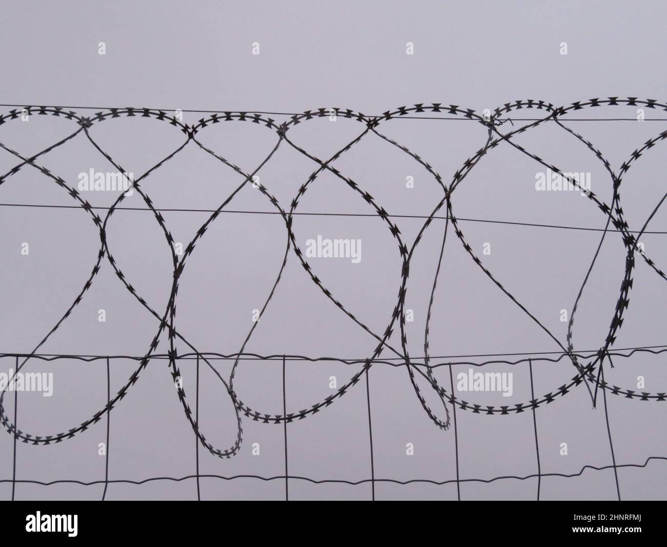 dangerous barbed wire protection security reserve cut Stock Photo - Alamy
