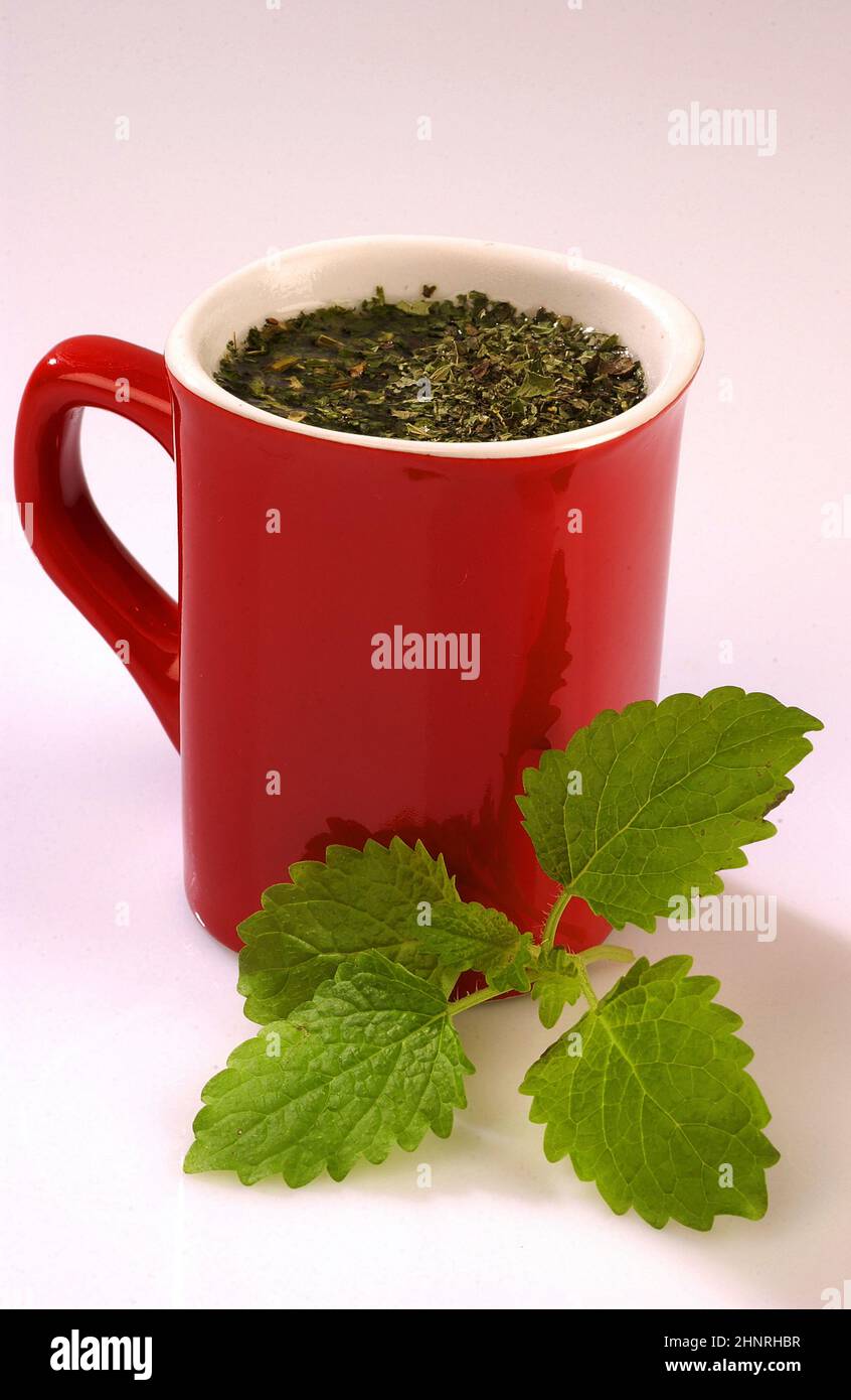 Herbal teas, mint Stock Photo - Alamy
