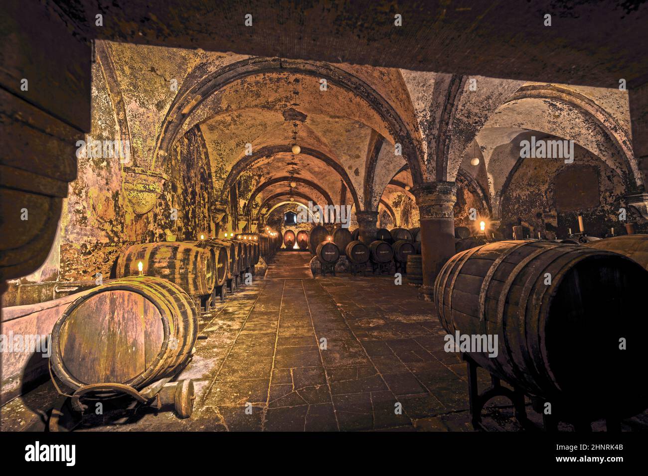 Vinery interior hi-res stock photography and images - Alamy