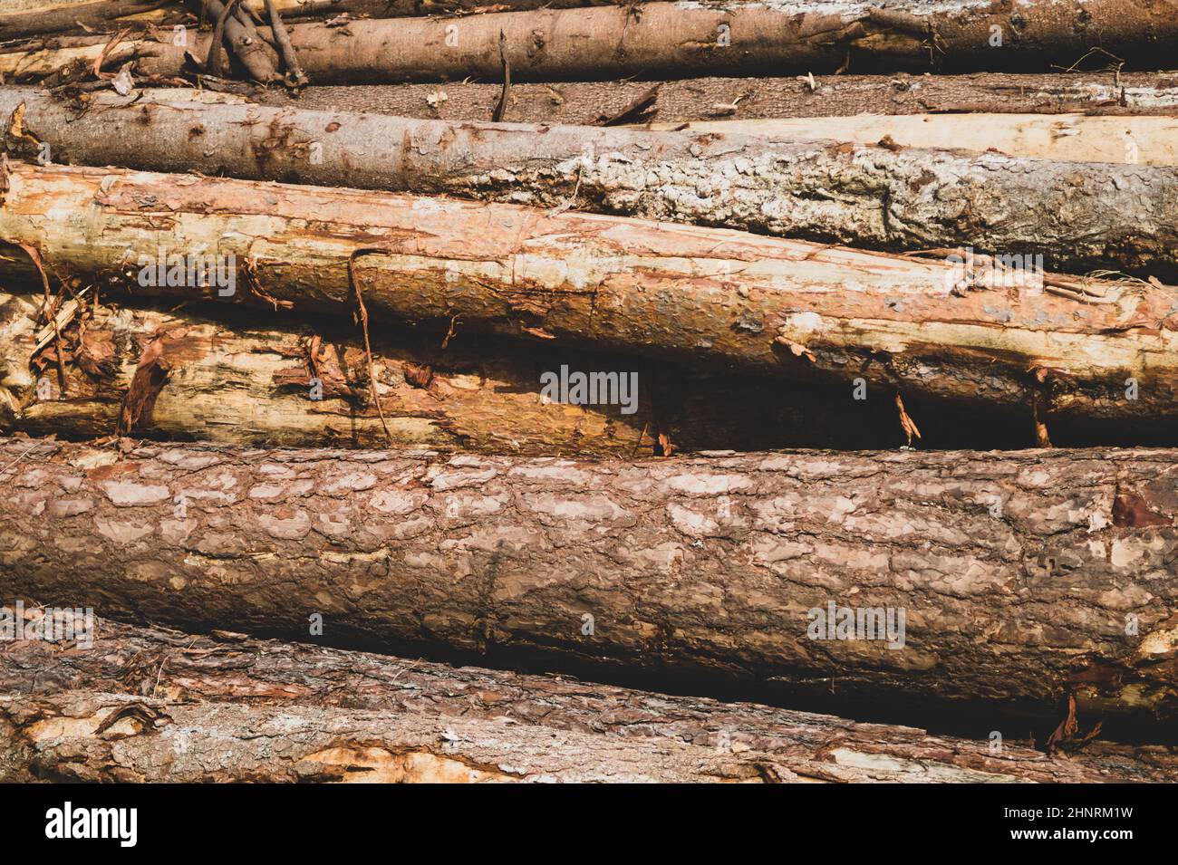 Pile of wooden logs texture. timber background. untreated wood Stock ...