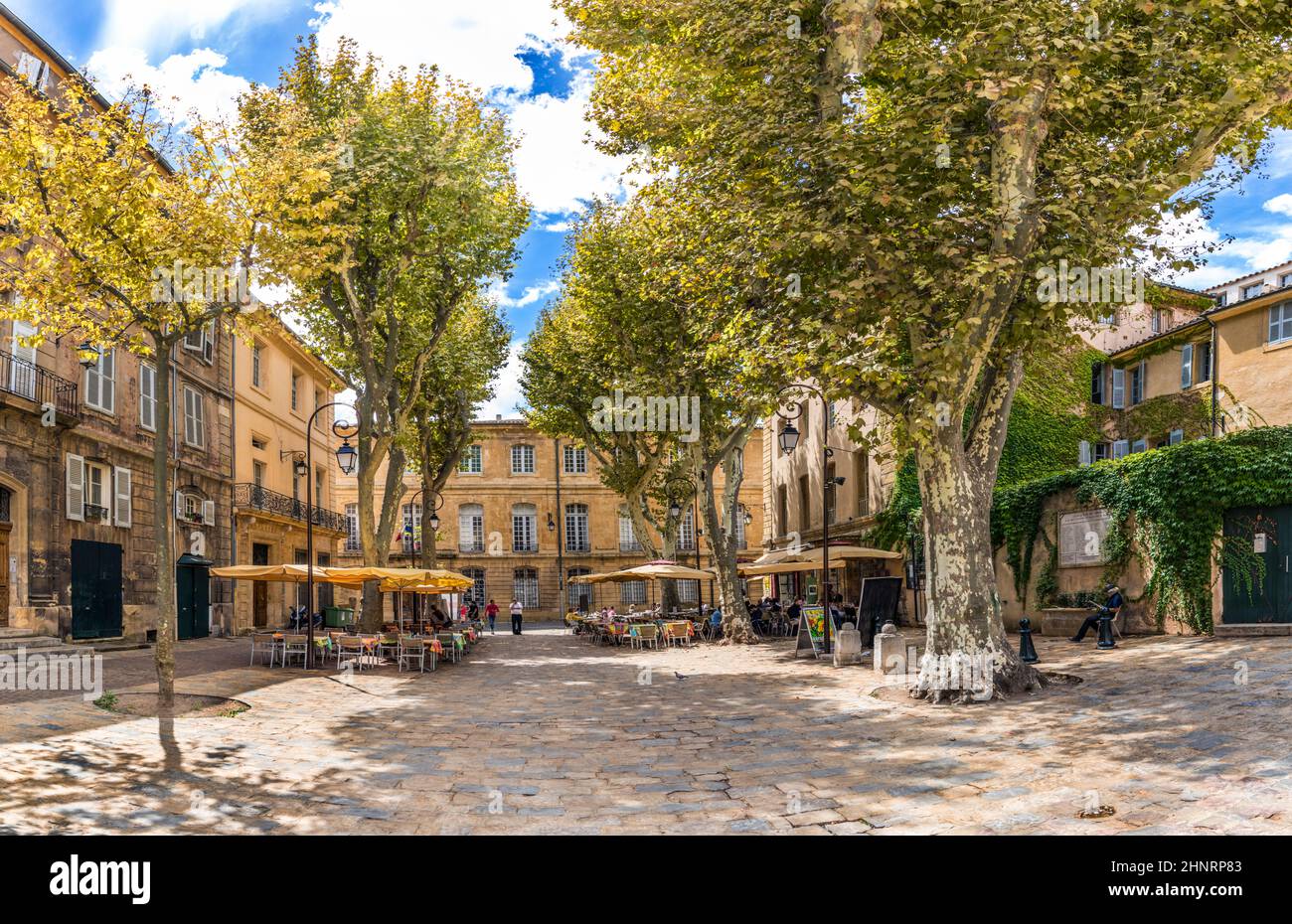 Plane trees provence hi-res stock photography and images - Alamy
