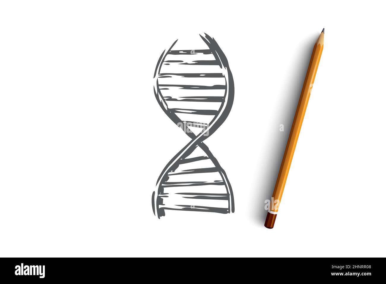 DNA, medicine, genetic, biology, science concept. Hand drawn symbol of ...