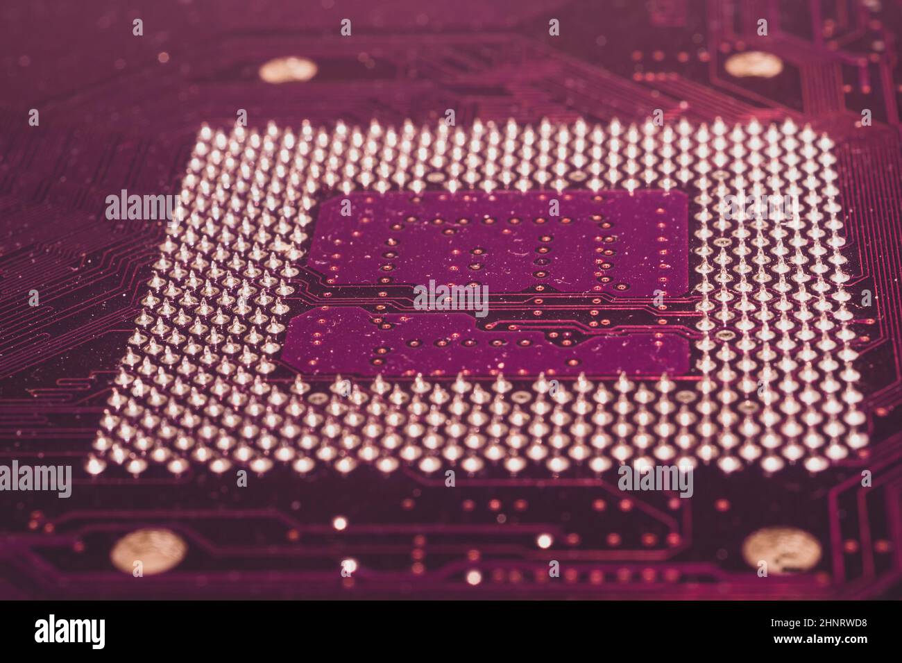 Processor pins macro. computer motherboard close up. cpu pins on a ...