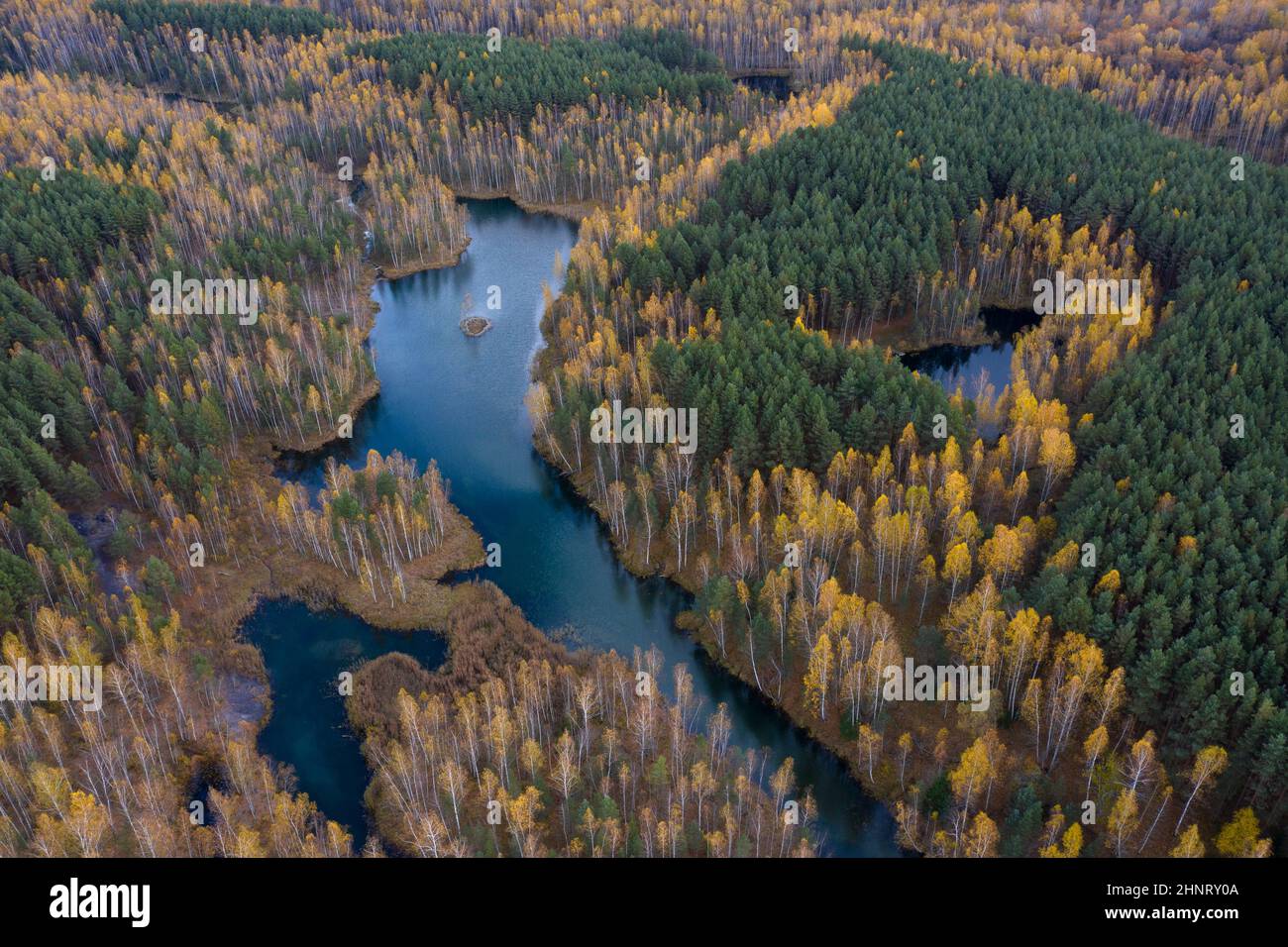 Small lake surrounded trees aerial hi-res stock photography and images ...