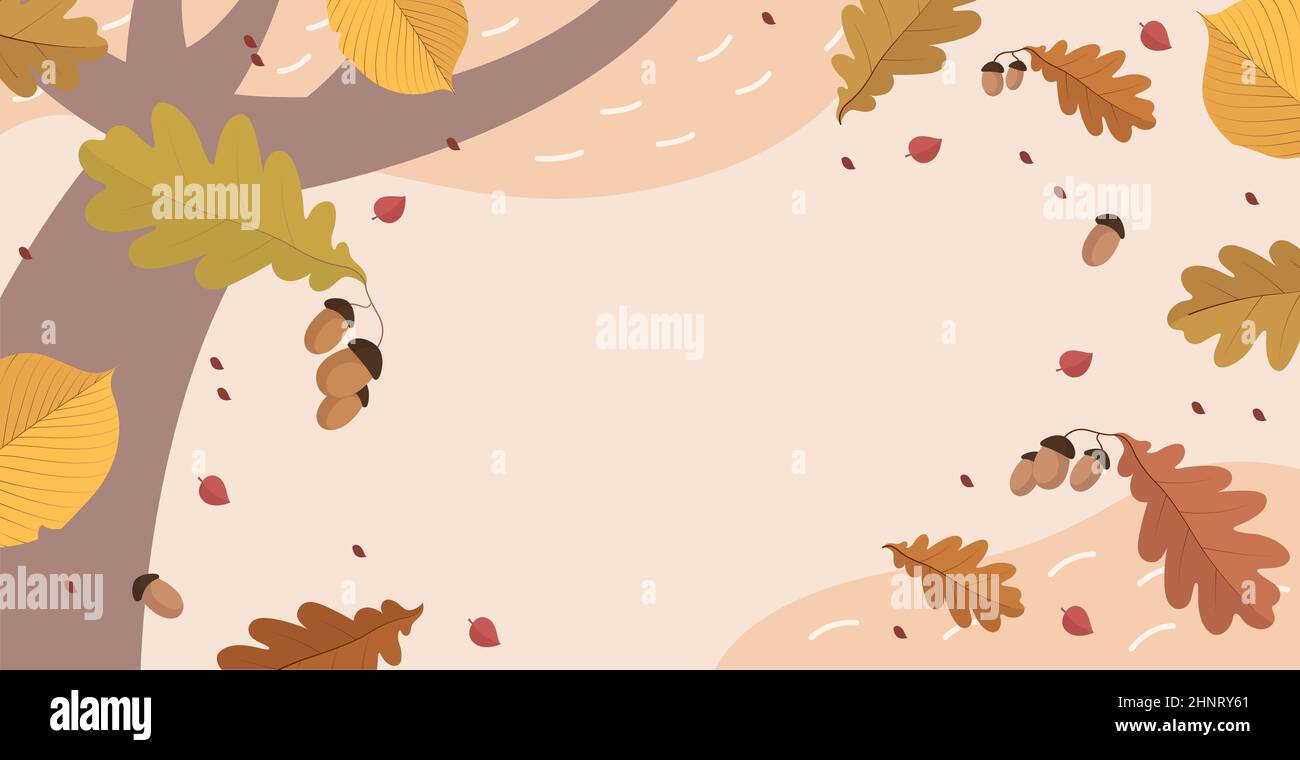 Abstract autumn web background template with many different leaves ...
