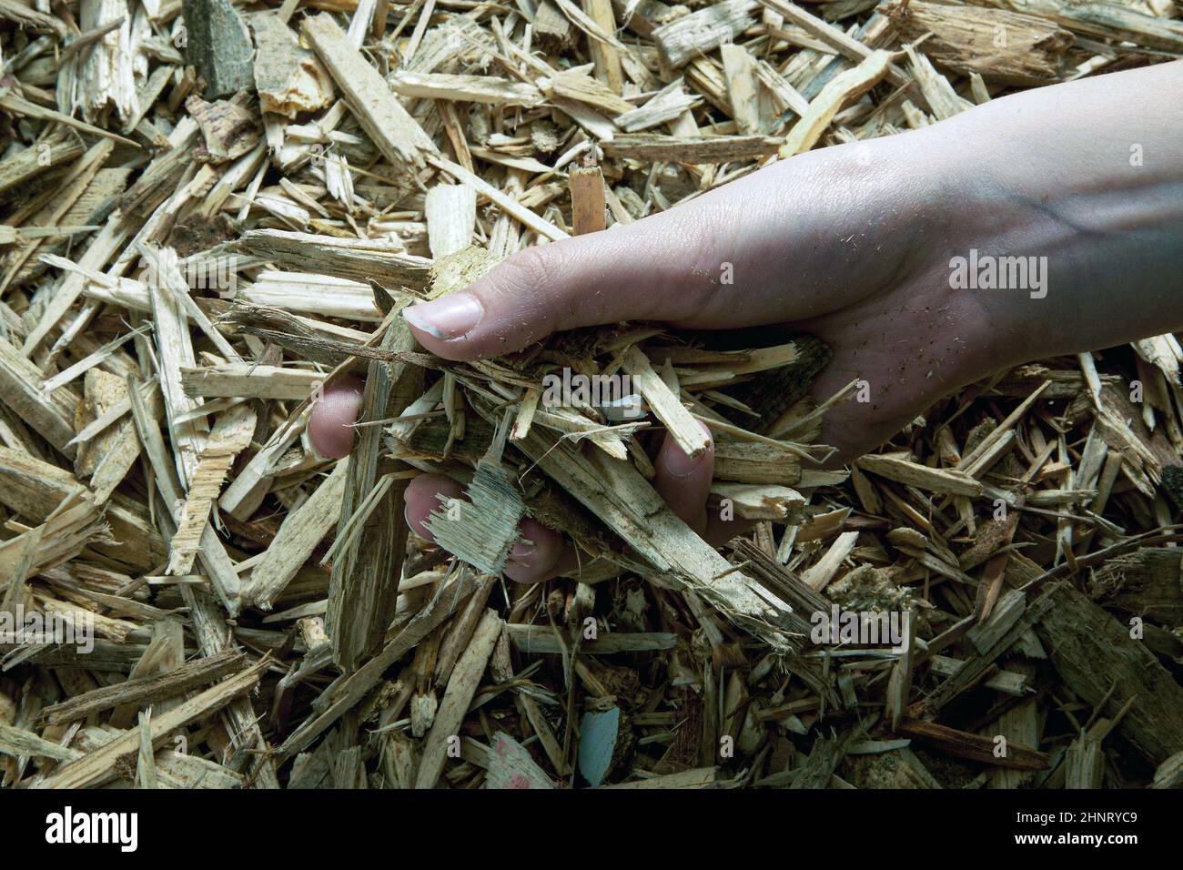 wood chips to generate heat Stock Photo - Alamy