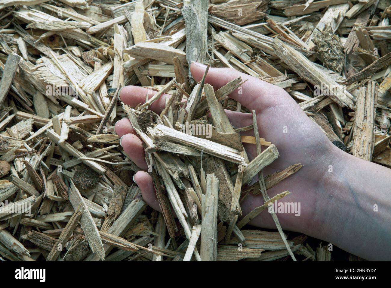 wood chips to generate heat Stock Photo - Alamy