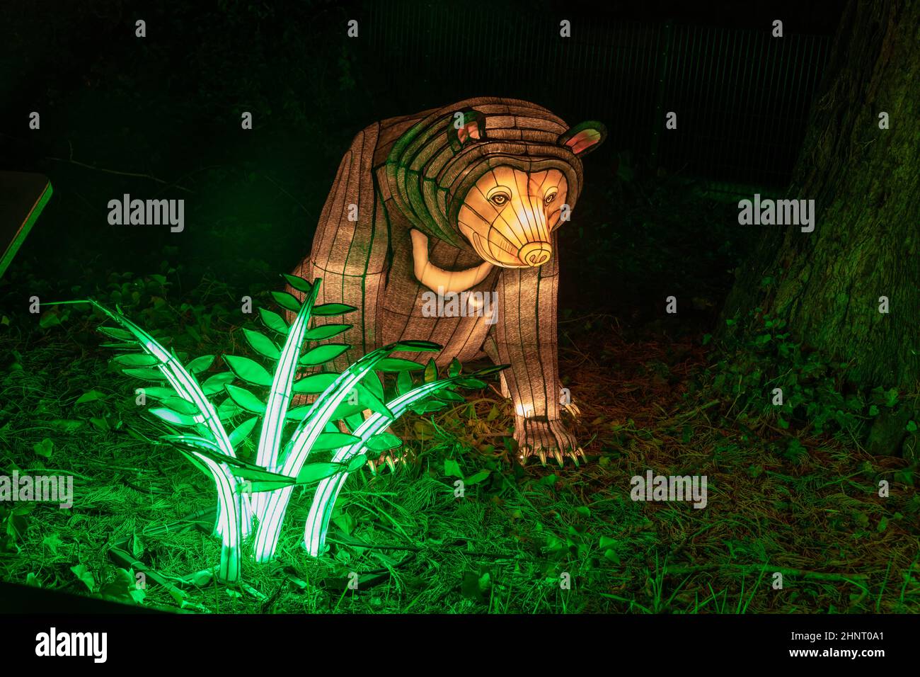 CHINA LIGHT-FESTIVAL at Cologne Zoo with many animals made of light ...