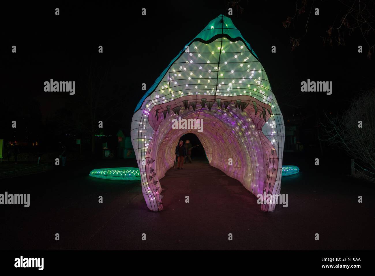 CHINA LIGHT-FESTIVAL at Cologne Zoo with many animals made of light ...