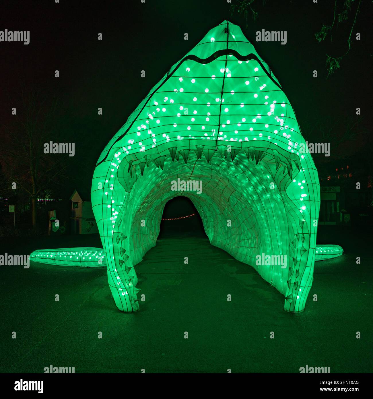 CHINA LIGHT-FESTIVAL at Cologne Zoo with many animals made of light ...