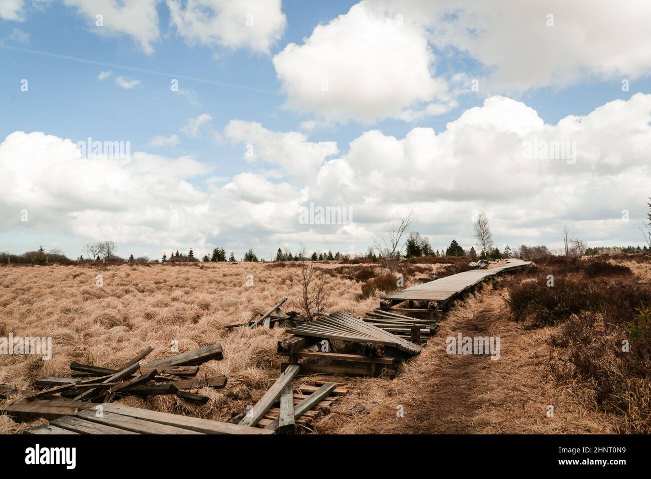 The High Fens, Hoge Venen, Belgium, Signal Van Botrange Stock Photo - Alamy