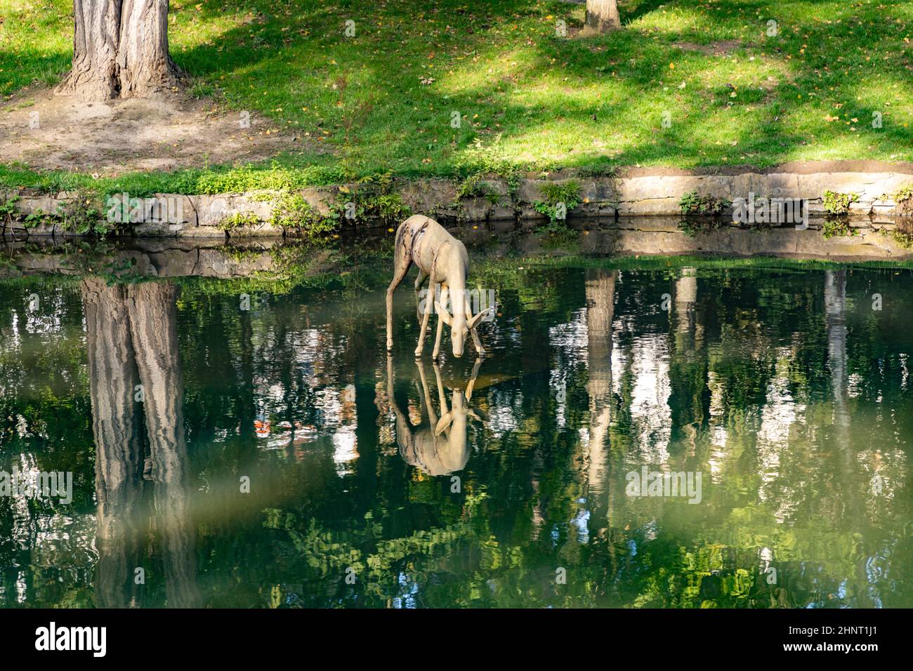 scenic sculpture of the fith leg deer in the Nero valley in Wiesbaden ...