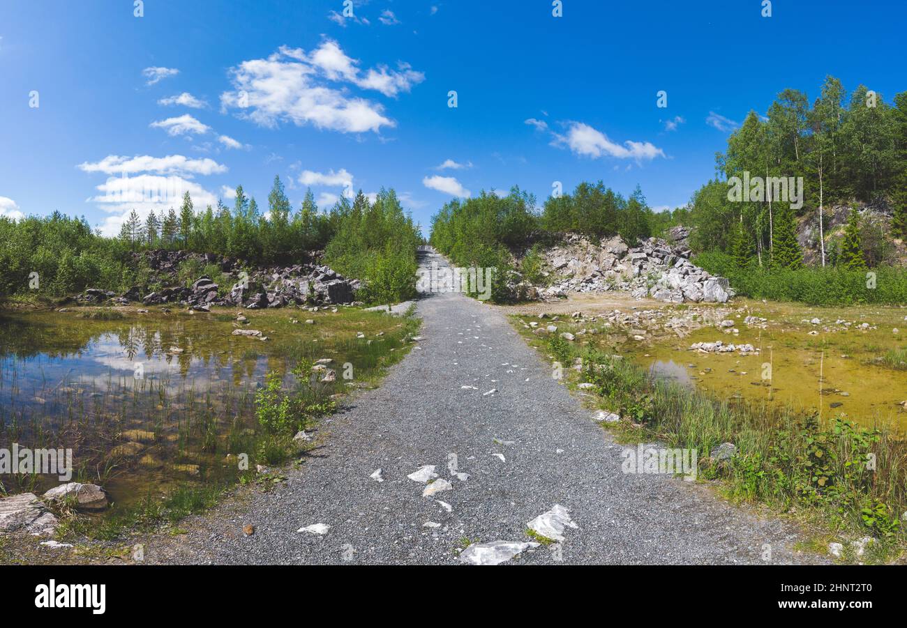 Path through the swamp in the forest. muddy pond. pile of stones. sunny ...