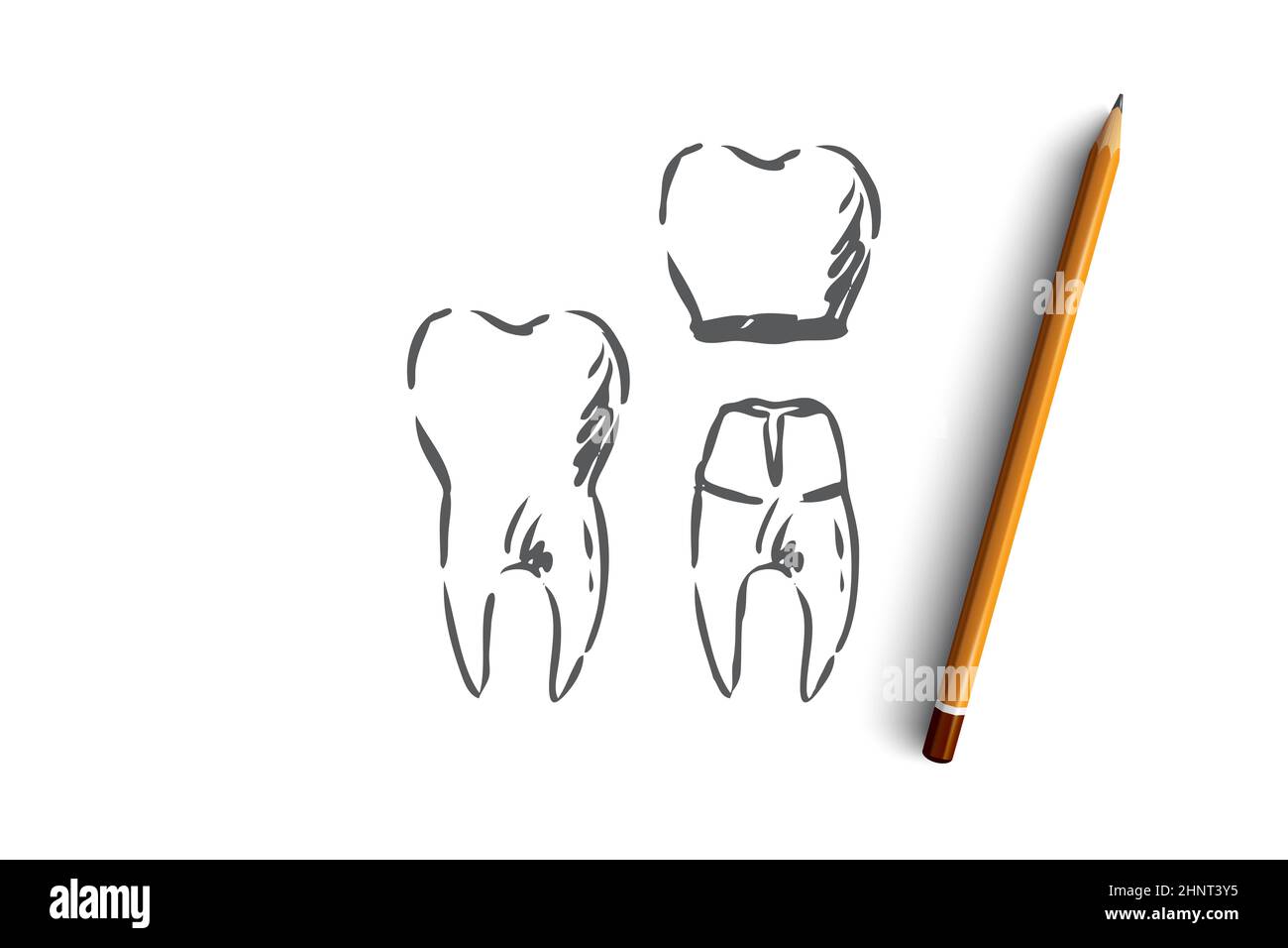 Crown, dental, root, tooth, health concept. Hand drawn teeth with crown ...