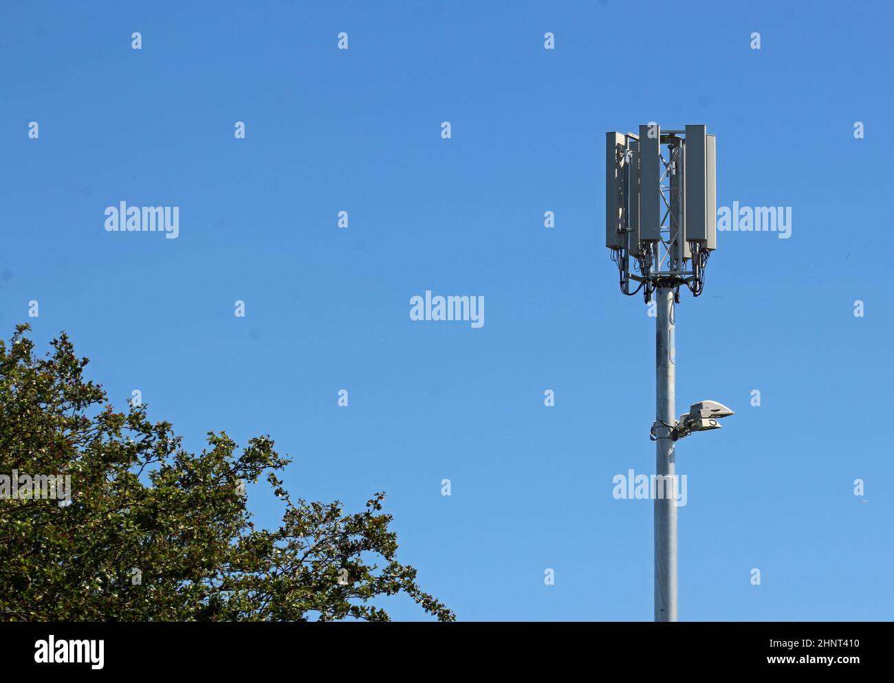 Phone mast tree hi-res stock photography and images - Alamy