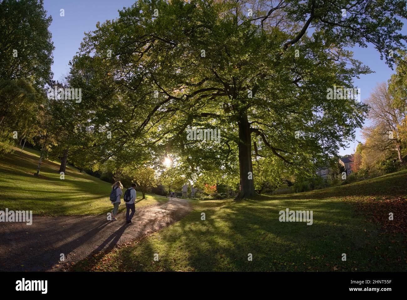 Young man and woman walk into sunlight at sheffield botanical gardens ...