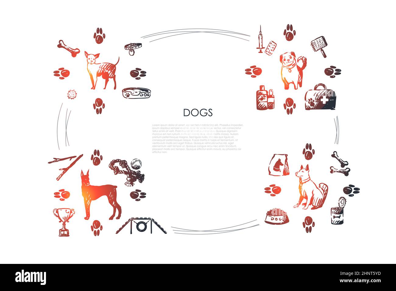 Dogs - different dog breeds with food, bones, collar, footprints, bowl ...