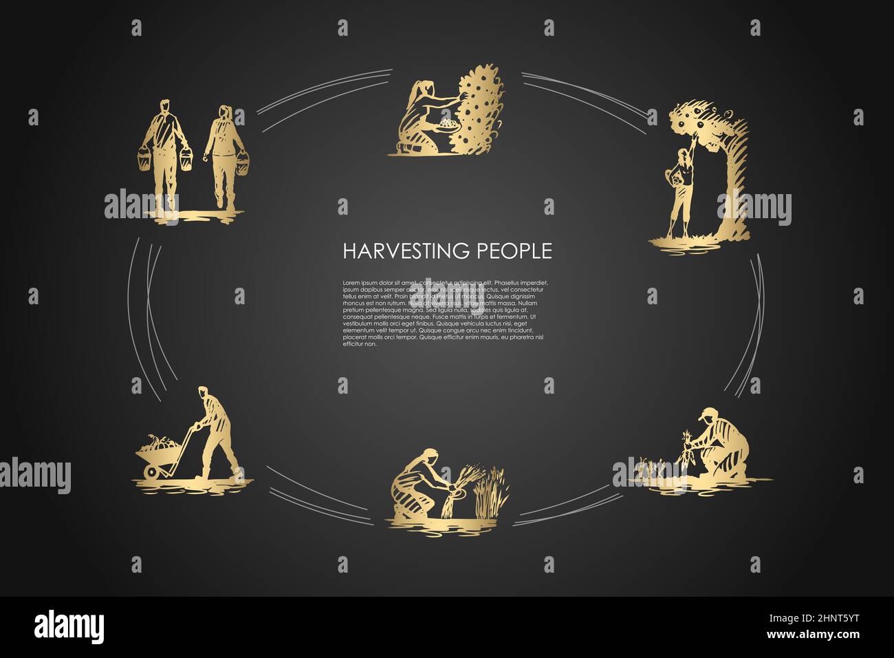 Harvesting people - people picking fruits and carrots, binding grass ...