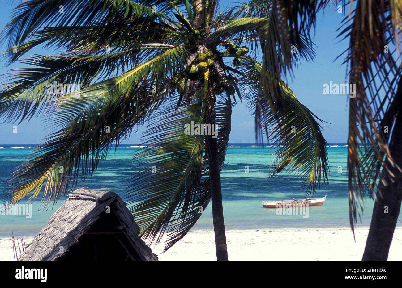 Bwejuu beach zanzibar hi-res stock photography and images - Alamy