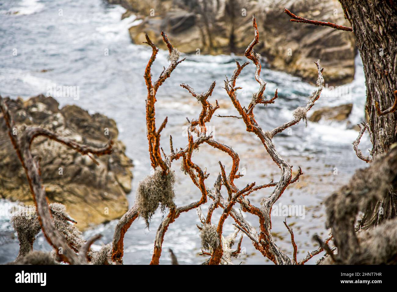 Big point trail in hi-res stock photography and images - Alamy