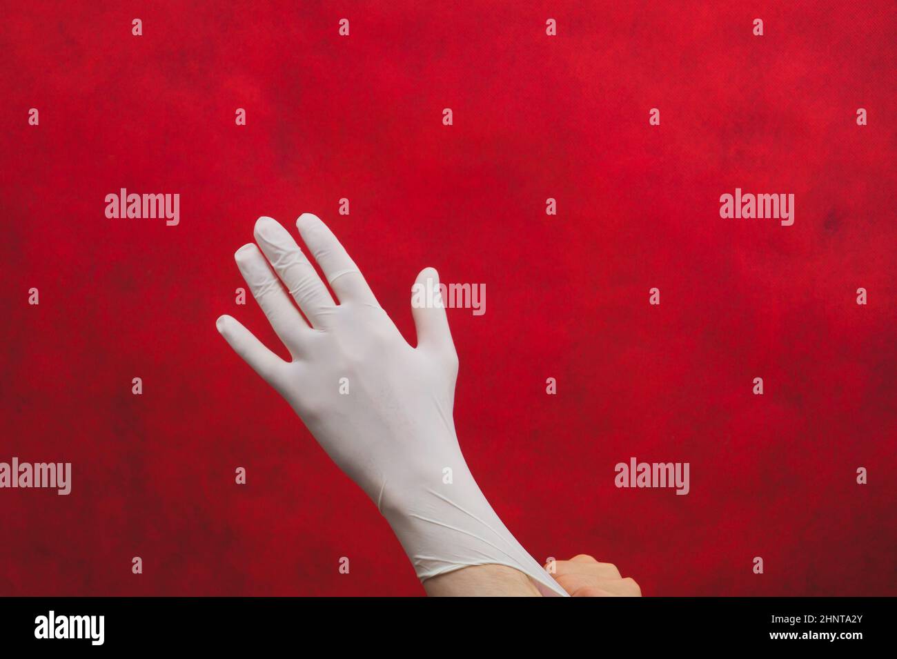 Hand in medical glove on a red background. person puts on surgical ...