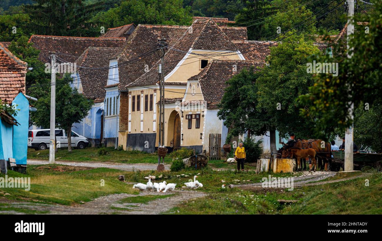 The village farm houses of Viscri in Romania Stock Photo - Alamy