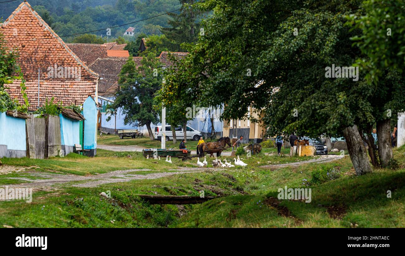 The village farm houses of Viscri in Romania Stock Photo - Alamy