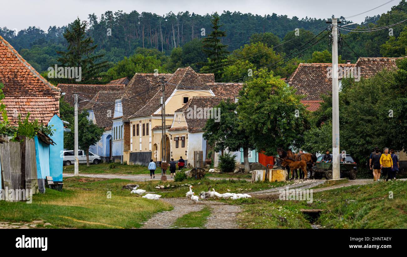 The village farm houses of Viscri in Romania Stock Photo - Alamy