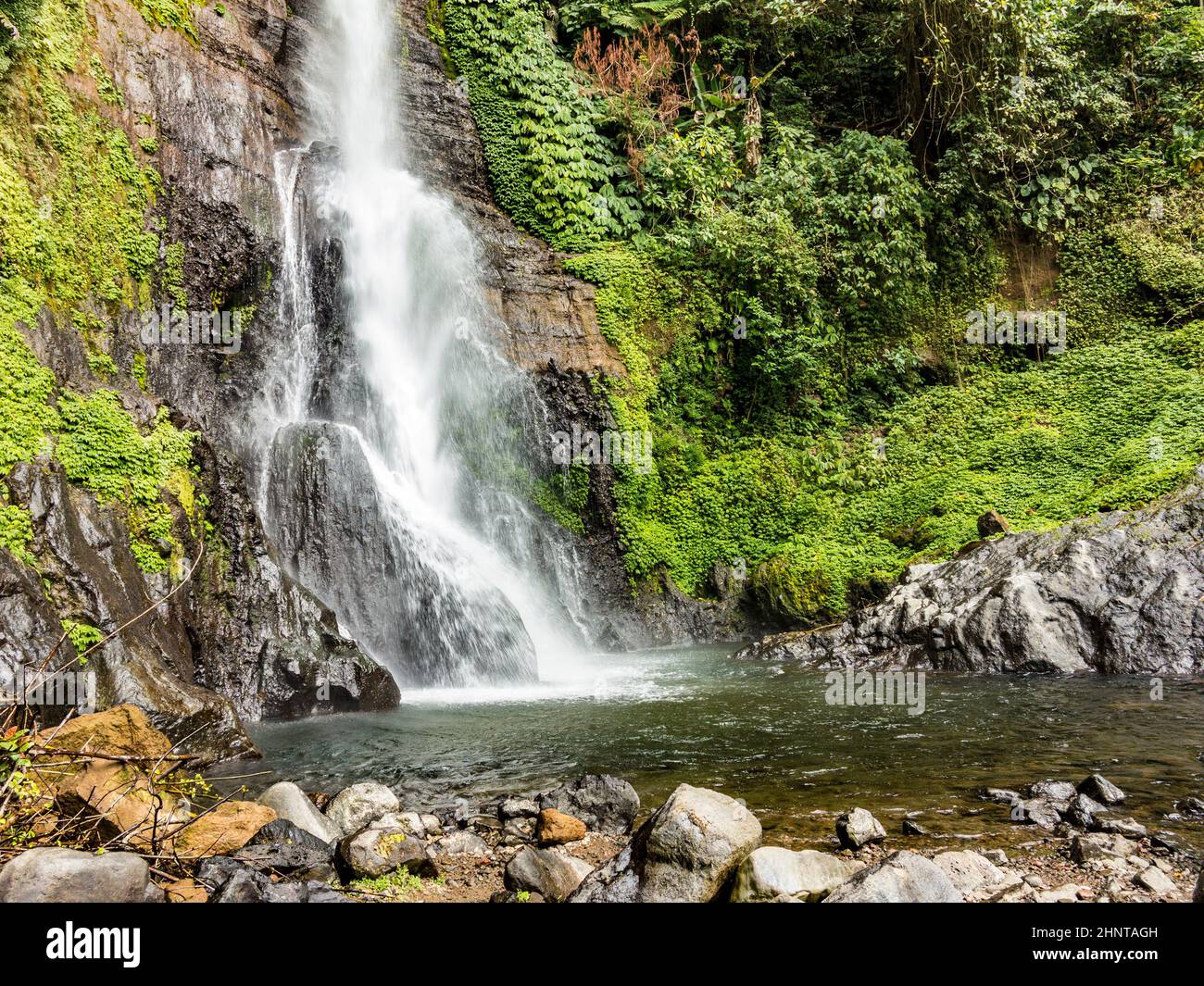 scenic waterfall in Bali, Indonesia in the jungle Stock Photo - Alamy