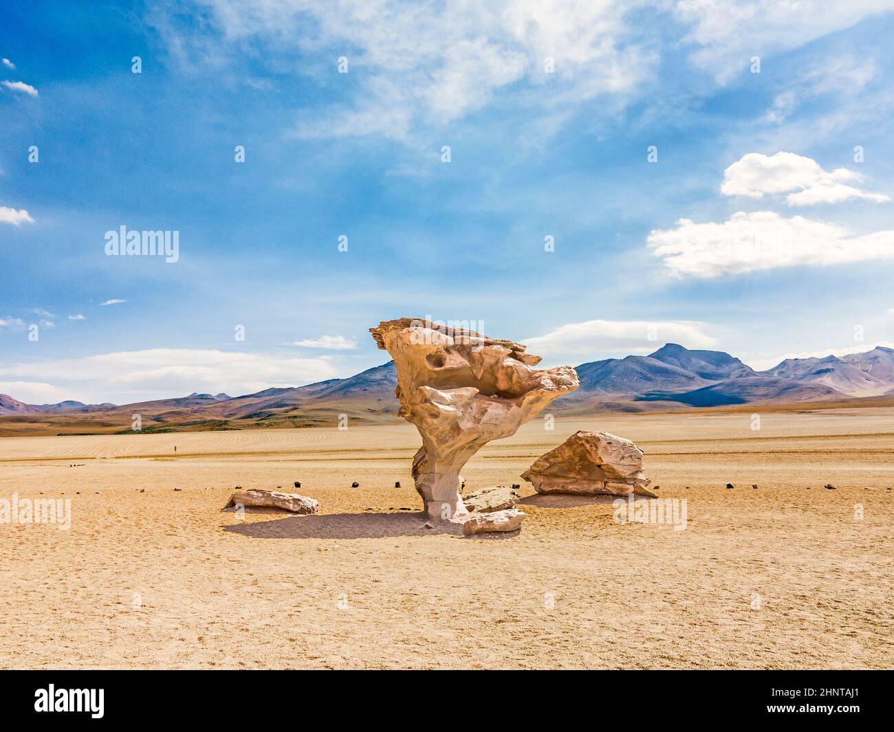 Arbol de Piedra (tree of rock), the famous stone tree rock formation ...