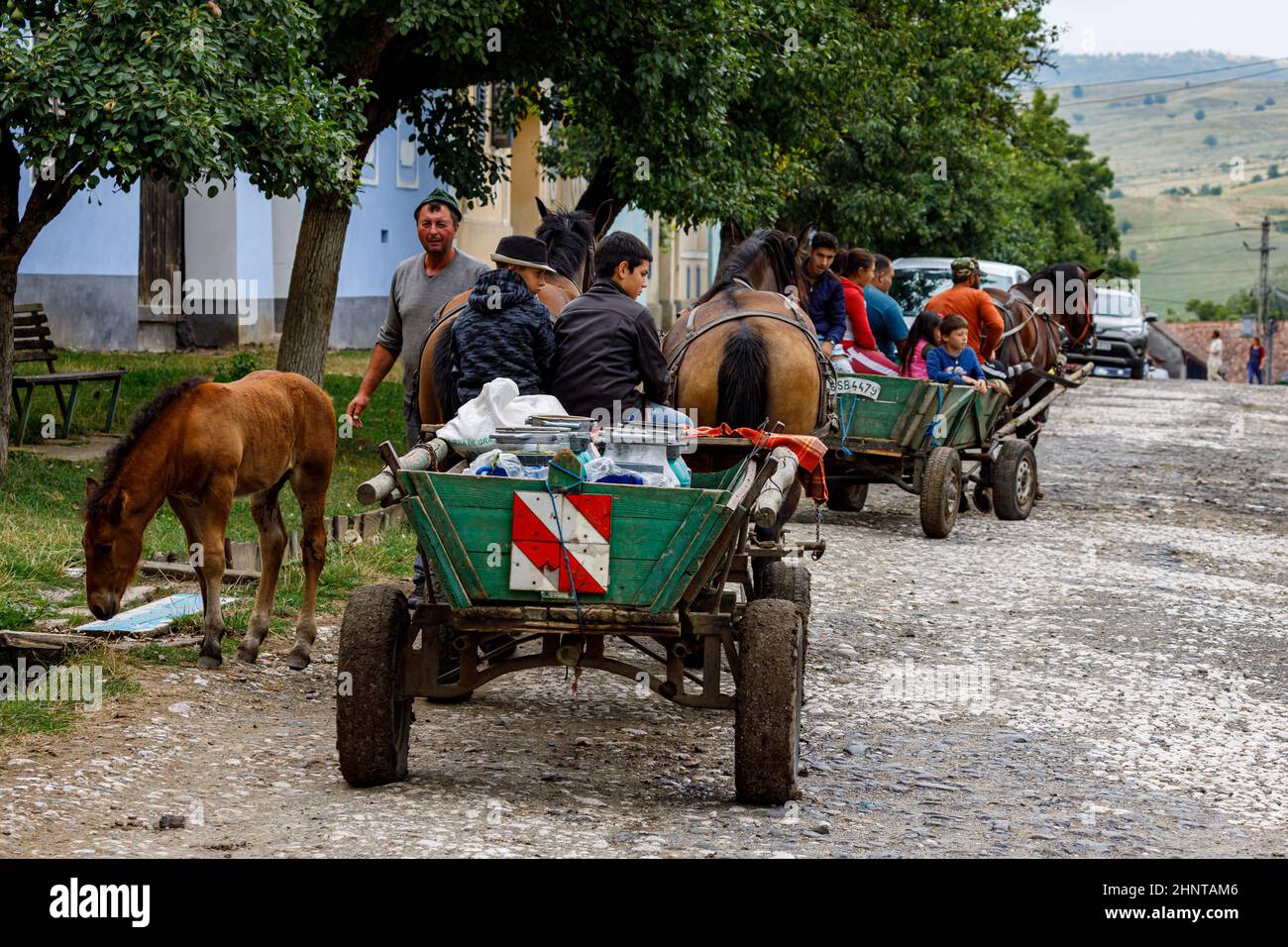 horse and carriage in the Village of Viscri in Romania Stock Photo - Alamy