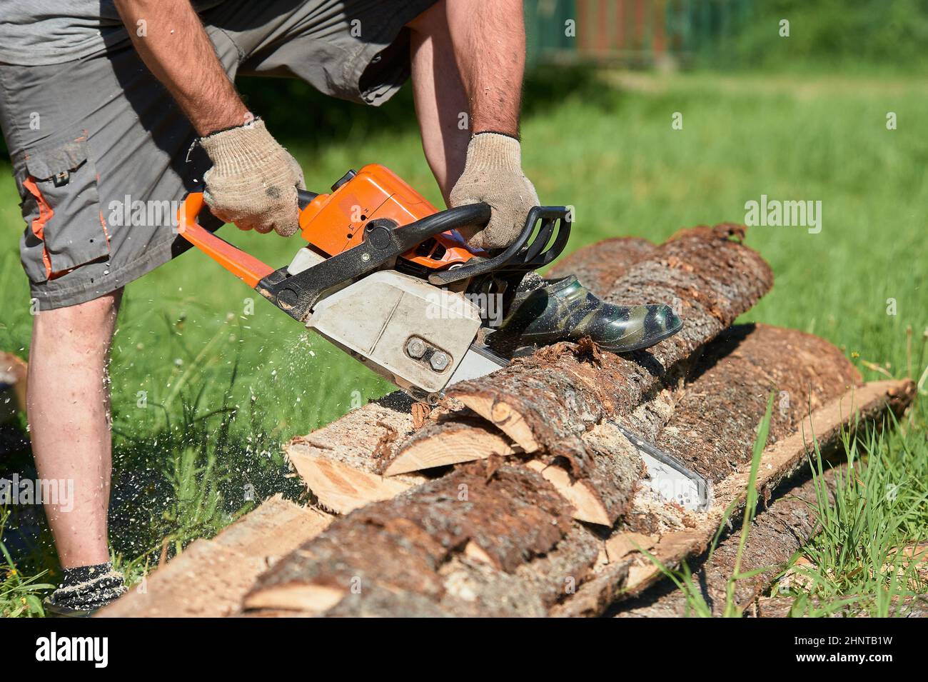 Chainsaw timber hi-res stock photography and images - Alamy