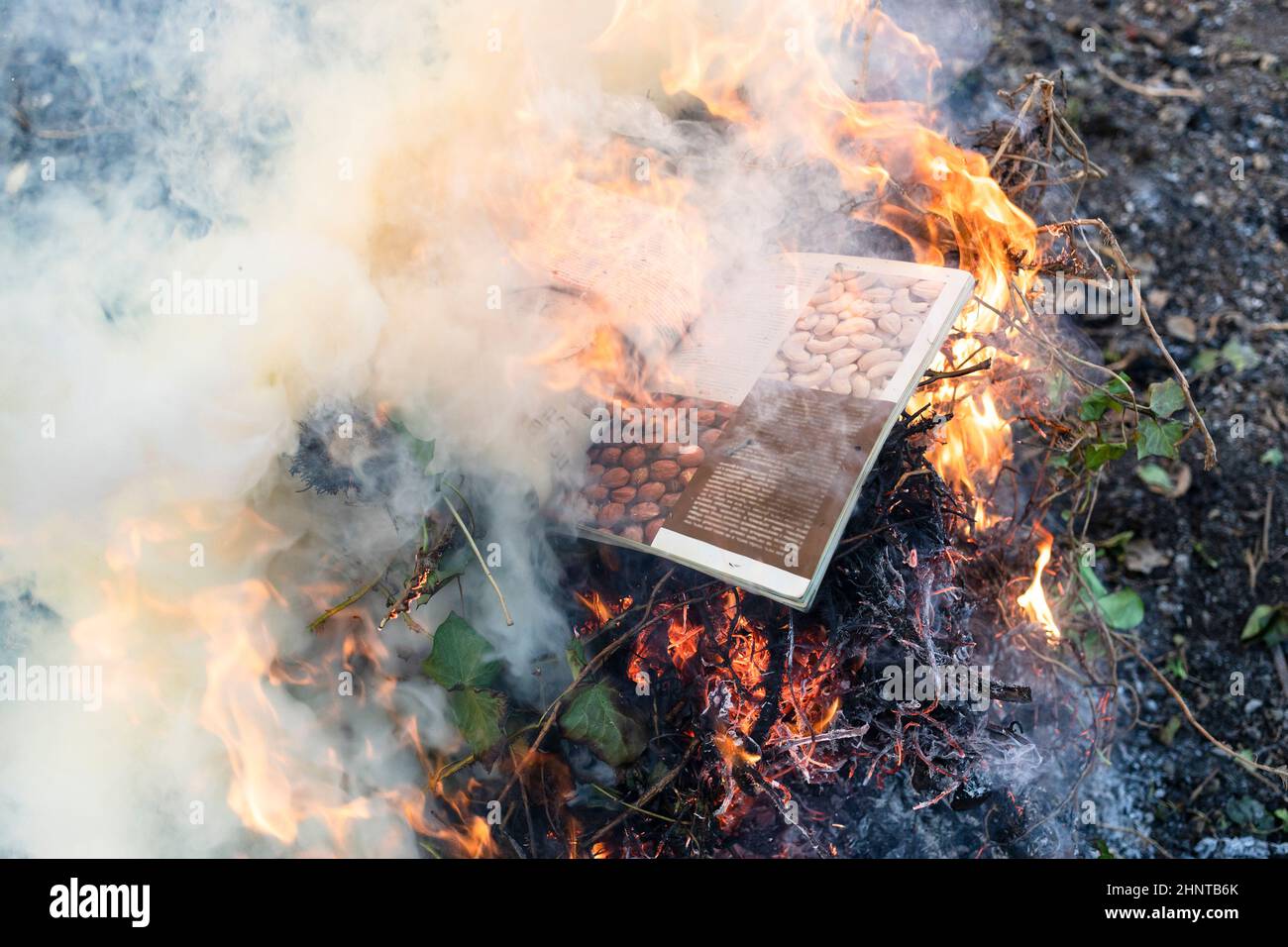 burning food magazine in fire on pile of branch Stock Photo - Alamy