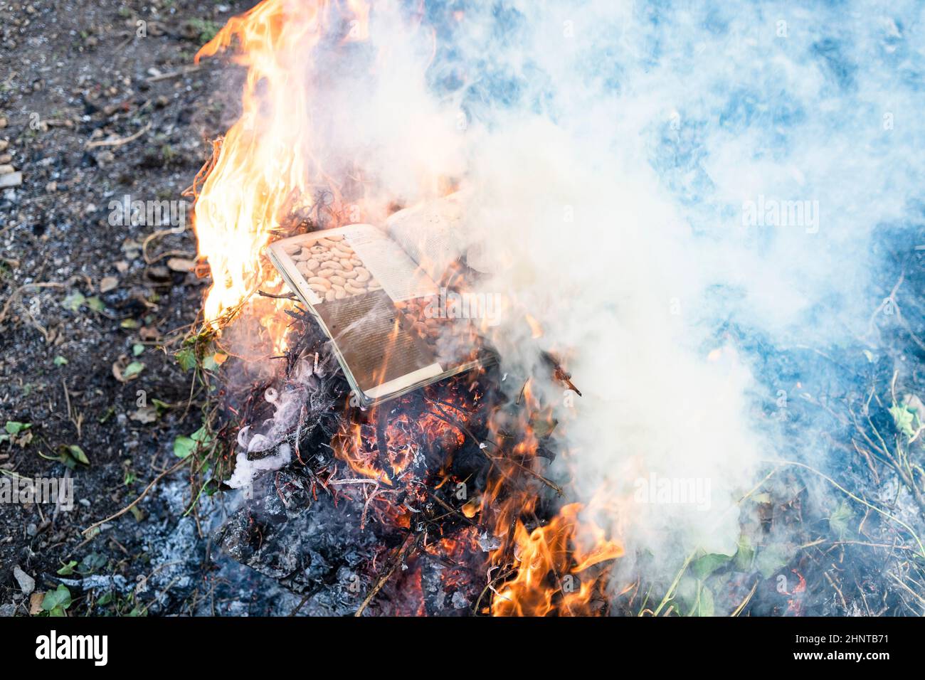 food magazine burning in fire on pile of cut stems Stock Photo - Alamy