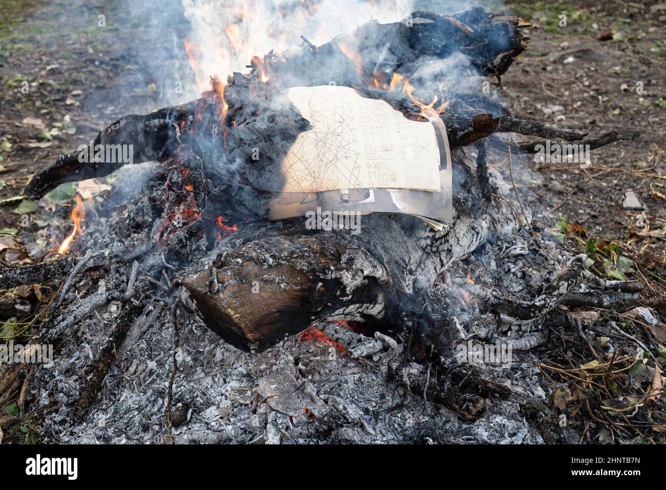 vintage fashion magazine buring on burned branches Stock Photo - Alamy