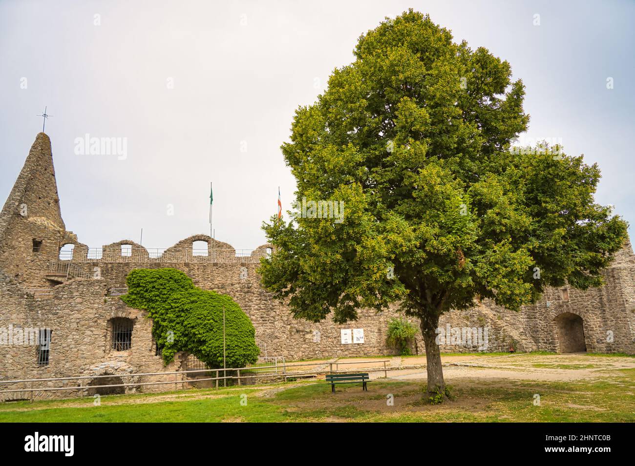 Tree in front of an ancient fortress Stock Photo - Alamy