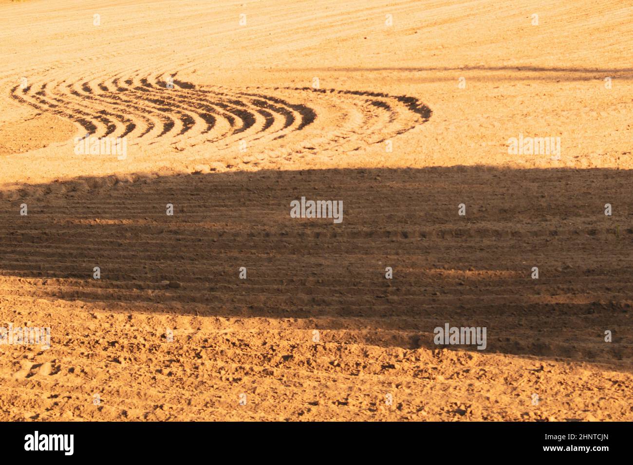 Pattern of curved ridges and furrows on a sandy field. traces on the ...