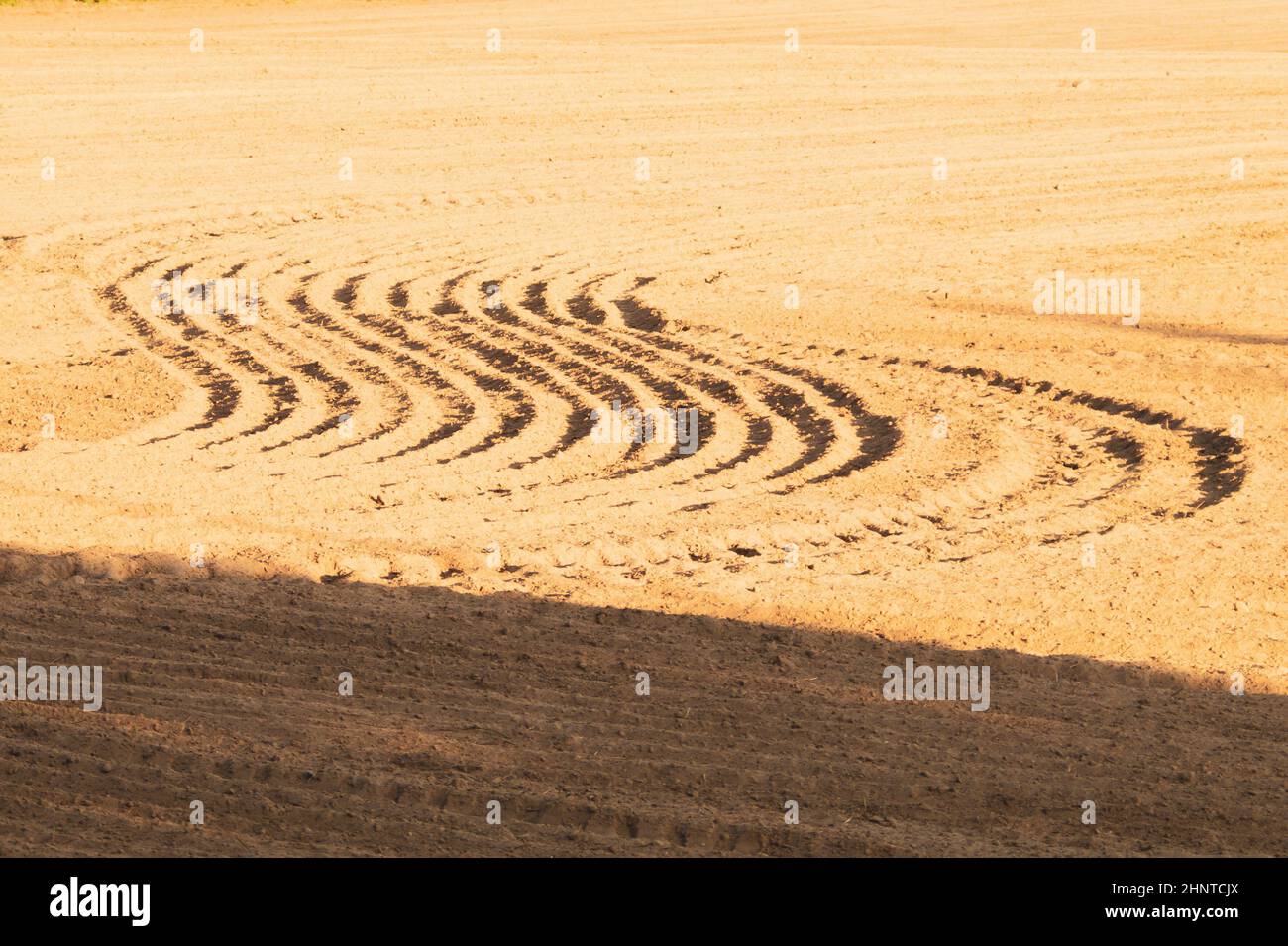Pattern of curved ridges and furrows on a sandy field. traces on the ...