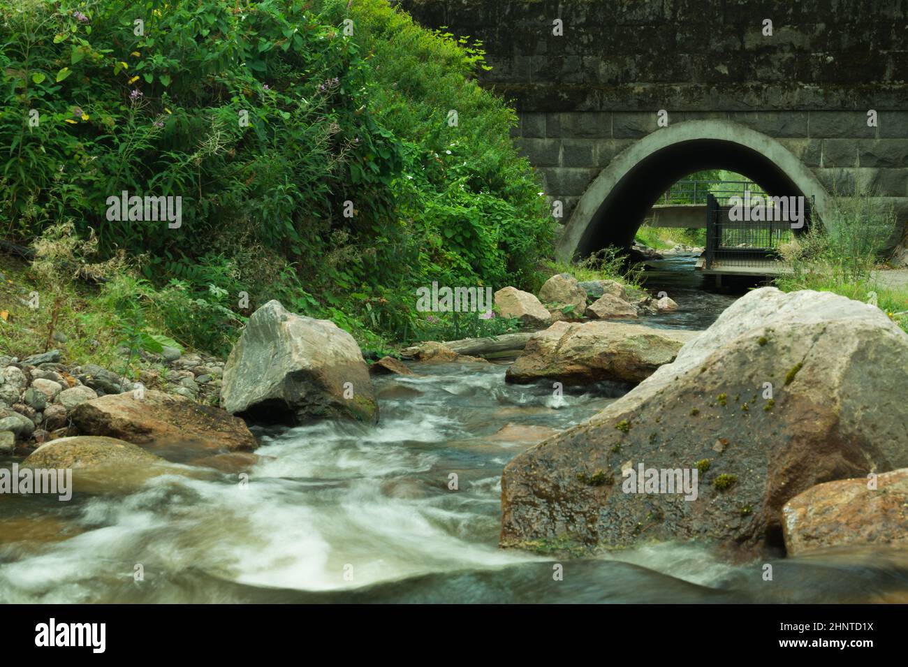 Rocky creek in the forest. river with rocks. dense overgrown forest ...