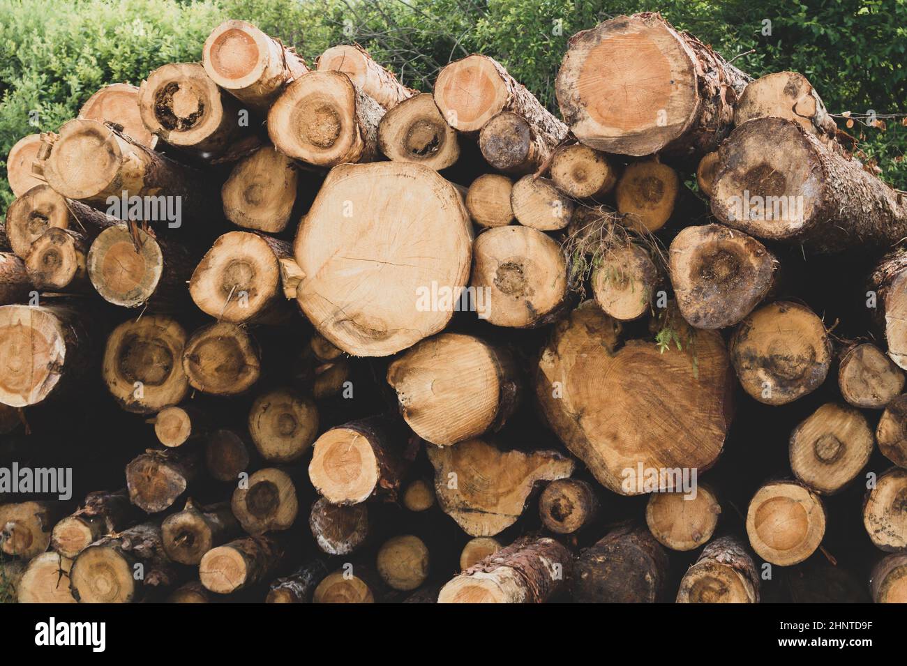 Stack of logs. natural wooden background with timber. log wall. pile of ...