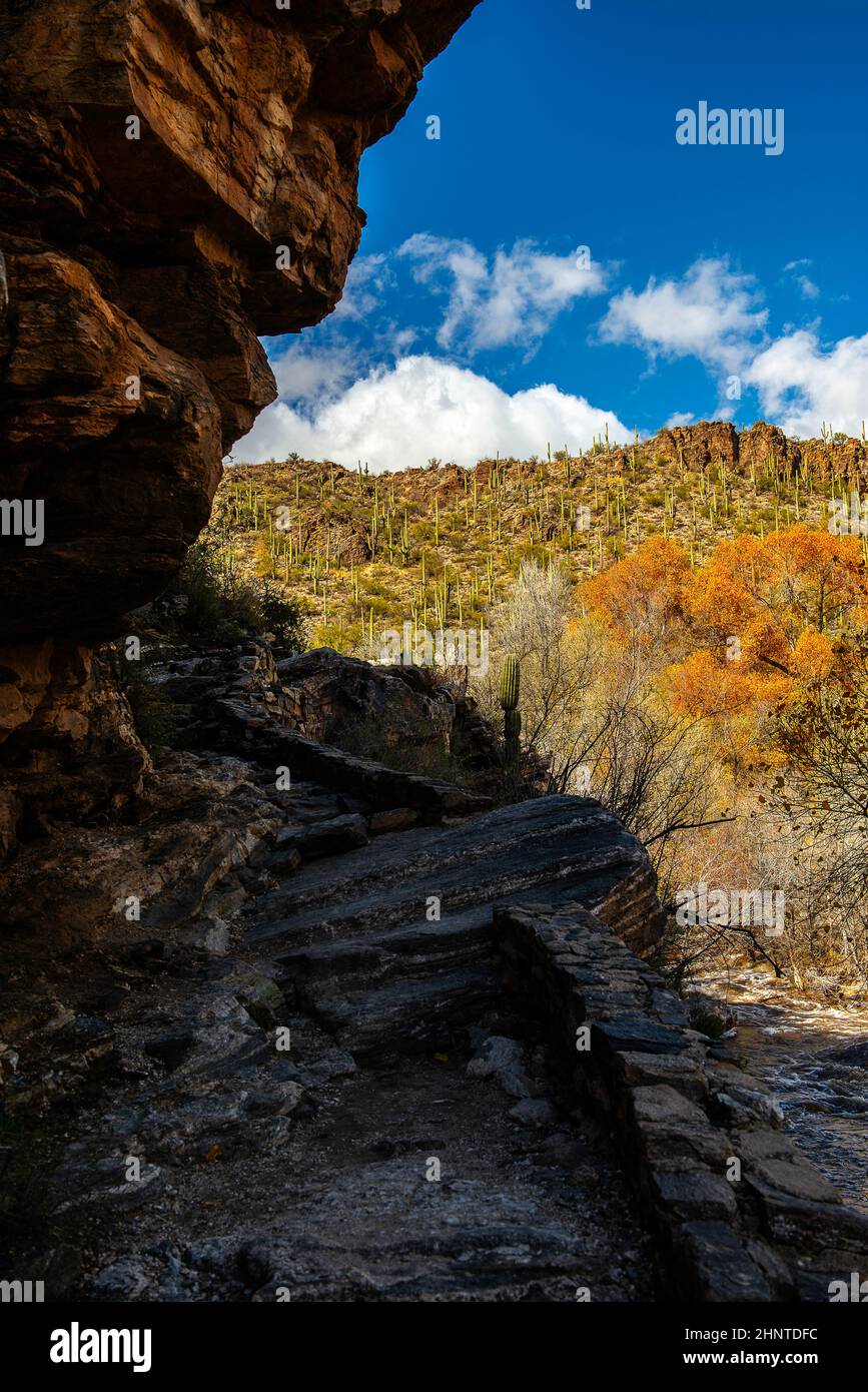 Desert landscape in Tucson Arizona Stock Photo - Alamy