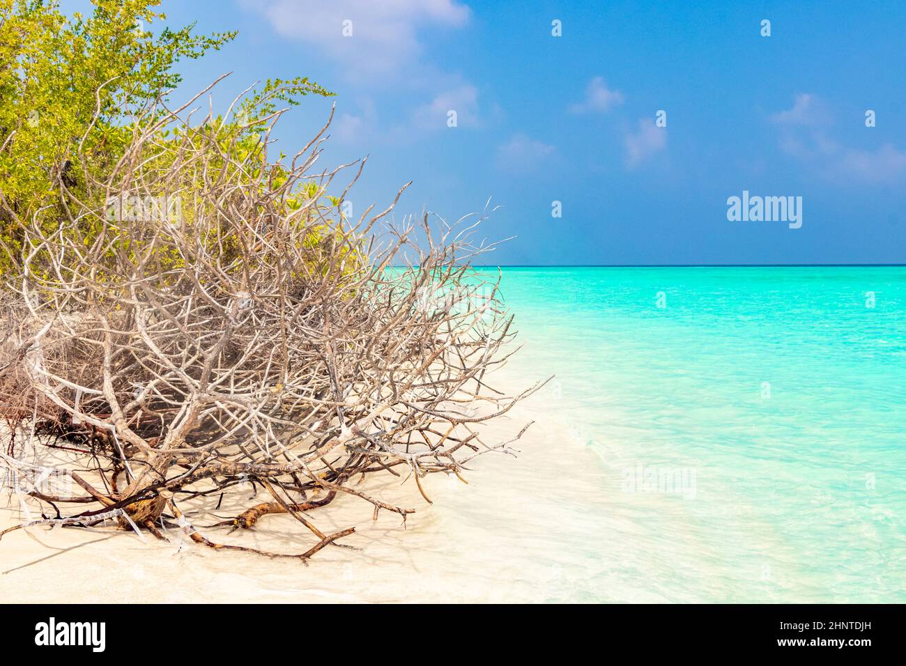 Natural tropical sandbank islands with color gradient in the water ...